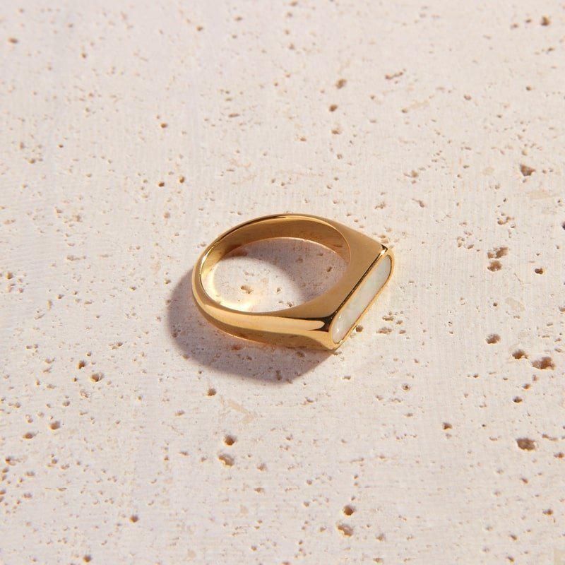 Amy Ring – Harmosociety